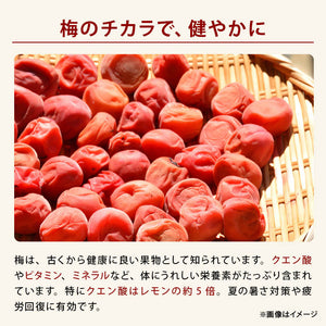 熱中症対策 梅干タブレット 20g/50g 紀州産南高梅 梅と塩のみ 梅 梅干し ねり梅 タブレット スポーツ アウトドア 夏バテ防止 熱中